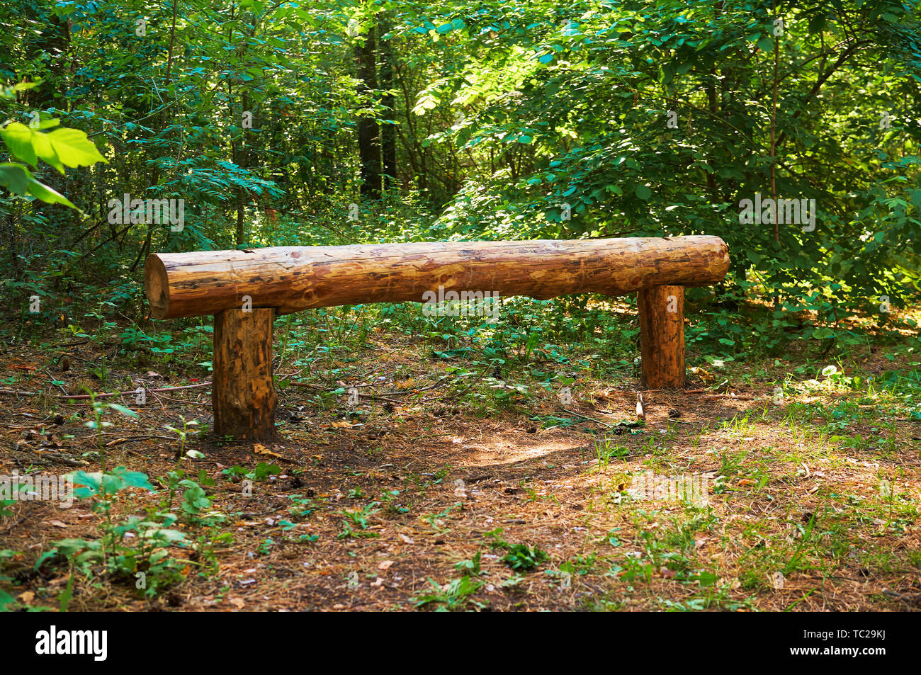 Bench made of wooden logs for people in a green forest. National park ...