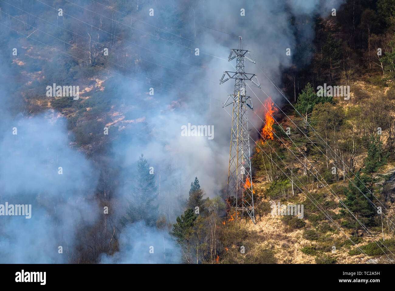 Forest fire aerial hi-res stock photography and images - Alamy