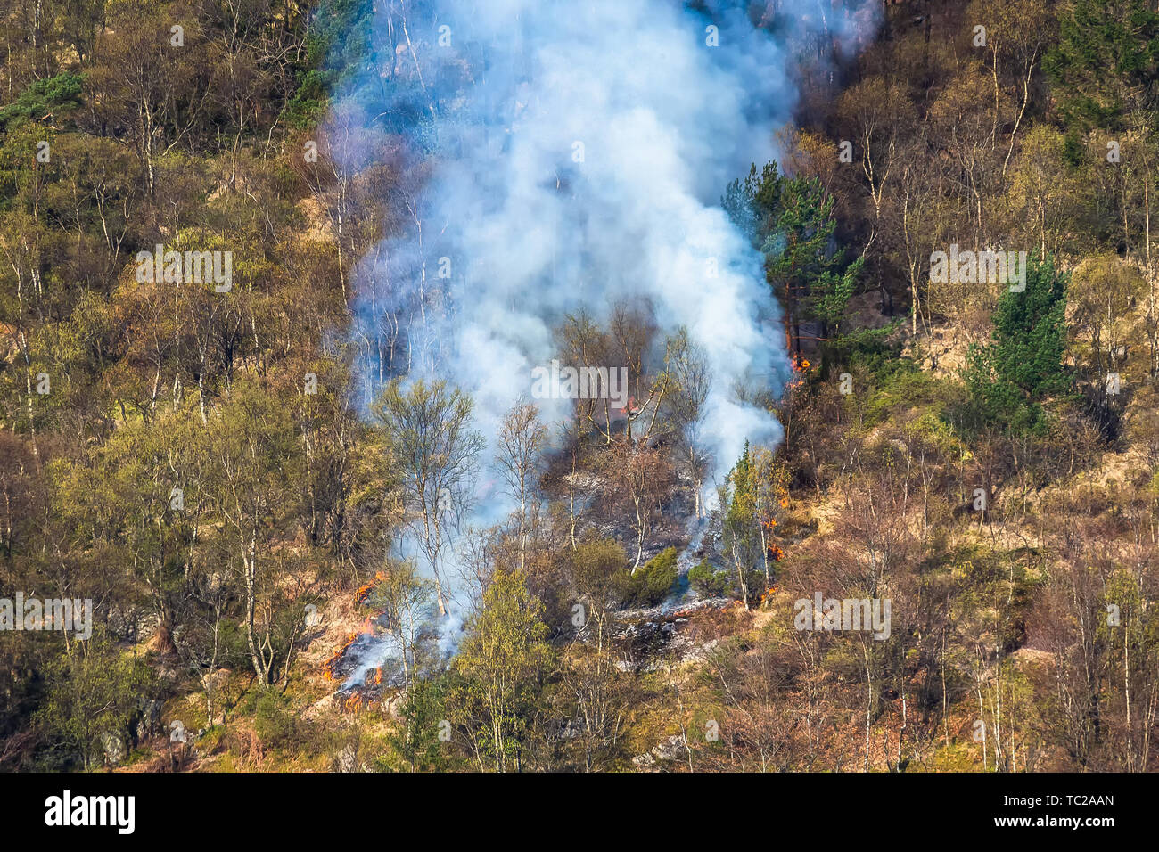 Wildfire. Bergen, Norway Stock Photo - Alamy