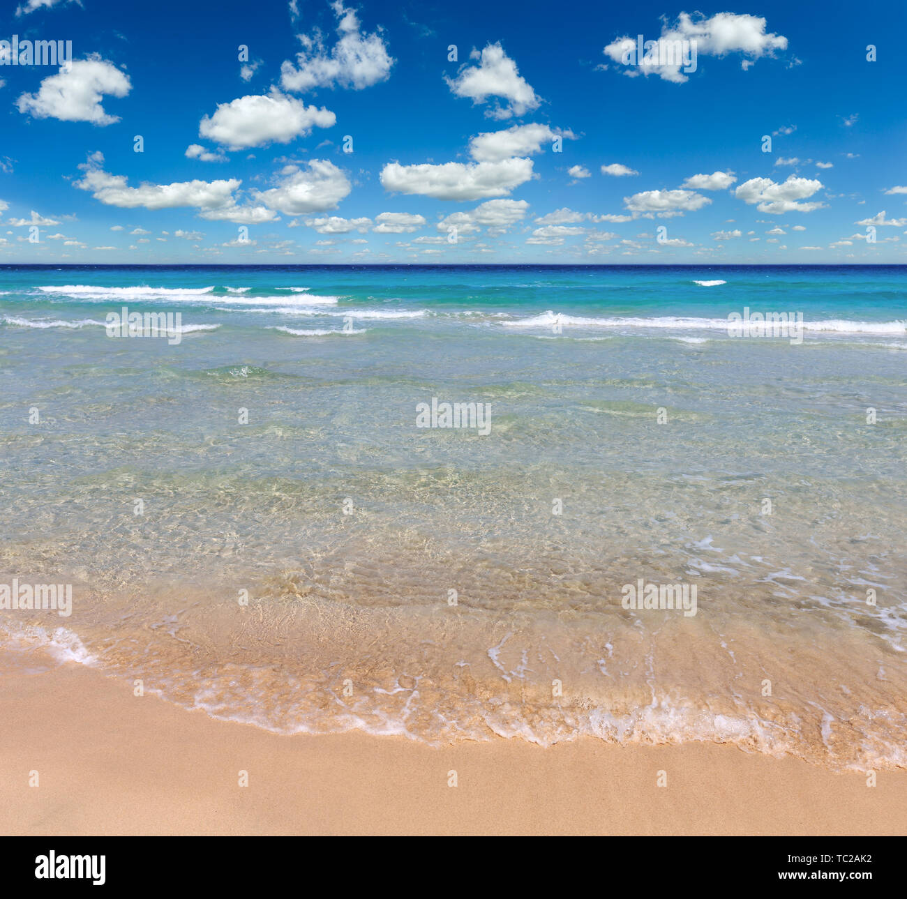 Beautiful sea surf, summer seascape view from sandy beach Stock Photo ...
