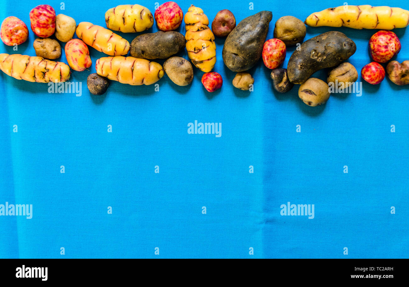 Colorful Bolivian and Peruvian potatoes Stock Photo - Alamy