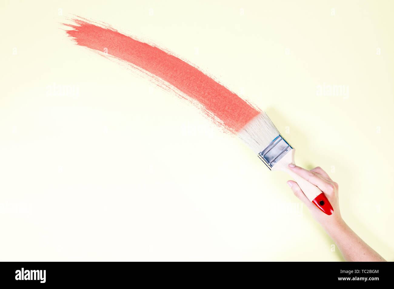 Brush coral hi-res stock photography and images - Alamy