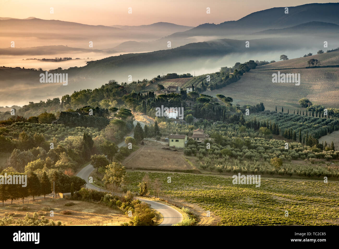 Beautiful foggy Tuscany hill Landscape near Florence on a sunny Morning ...