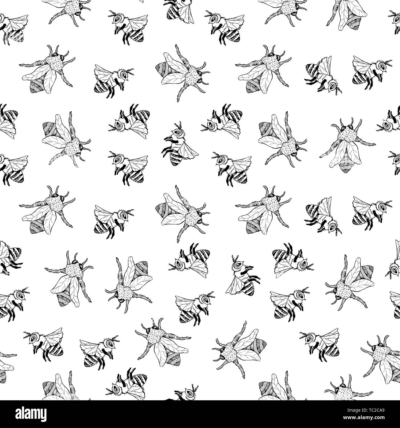 Honey Bee Seamless Pattern, Sketch Vector Illustration With Bumble Bee ... Honey Bee Seamless Pattern, Sketch Vector Illustration With Bumble Bee ...