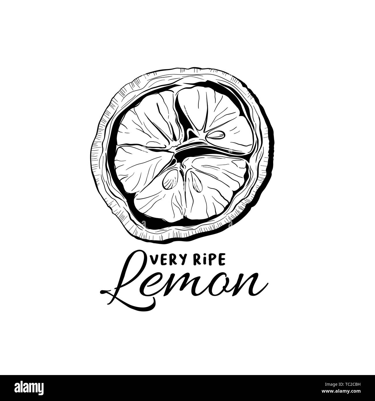 Citron plant Stock Vector Images - Alamy