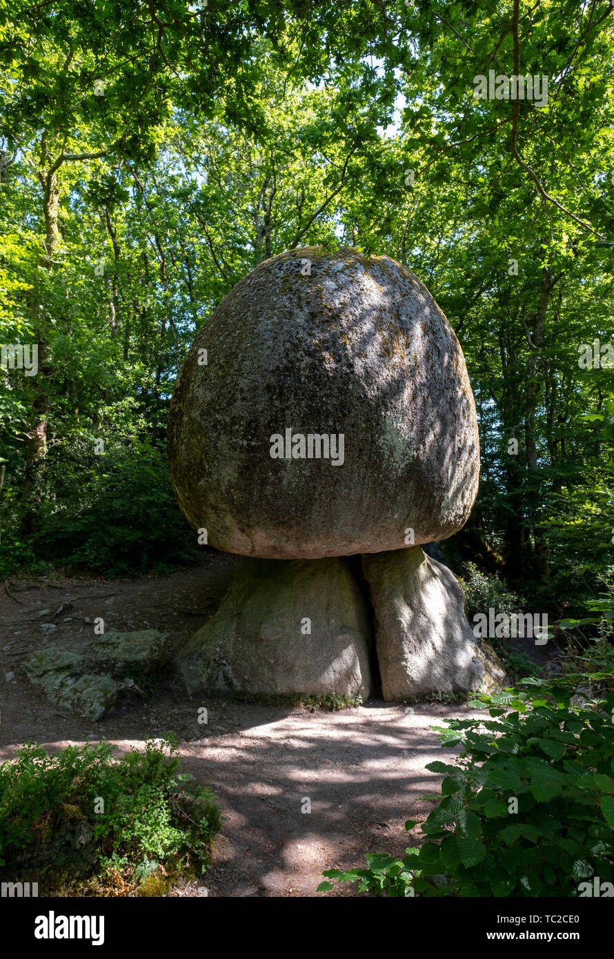 Giant mushroom hi-res stock photography and images - Alamy