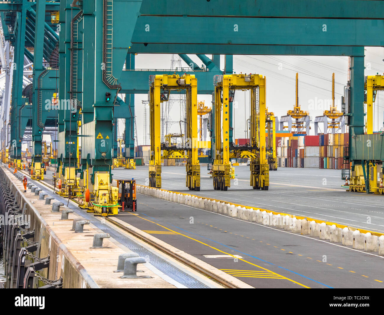 Giant wharf cranes in container terminal of port of Antwerp Belgium ...