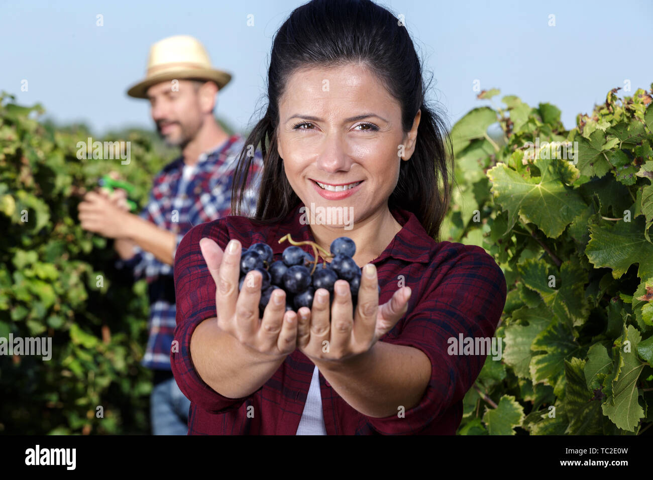 woman holding sweet grapes Stock Photo - Alamy