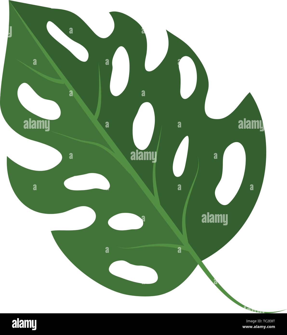 Leaf design, Plant floral garden nature decoration ornament and season ...