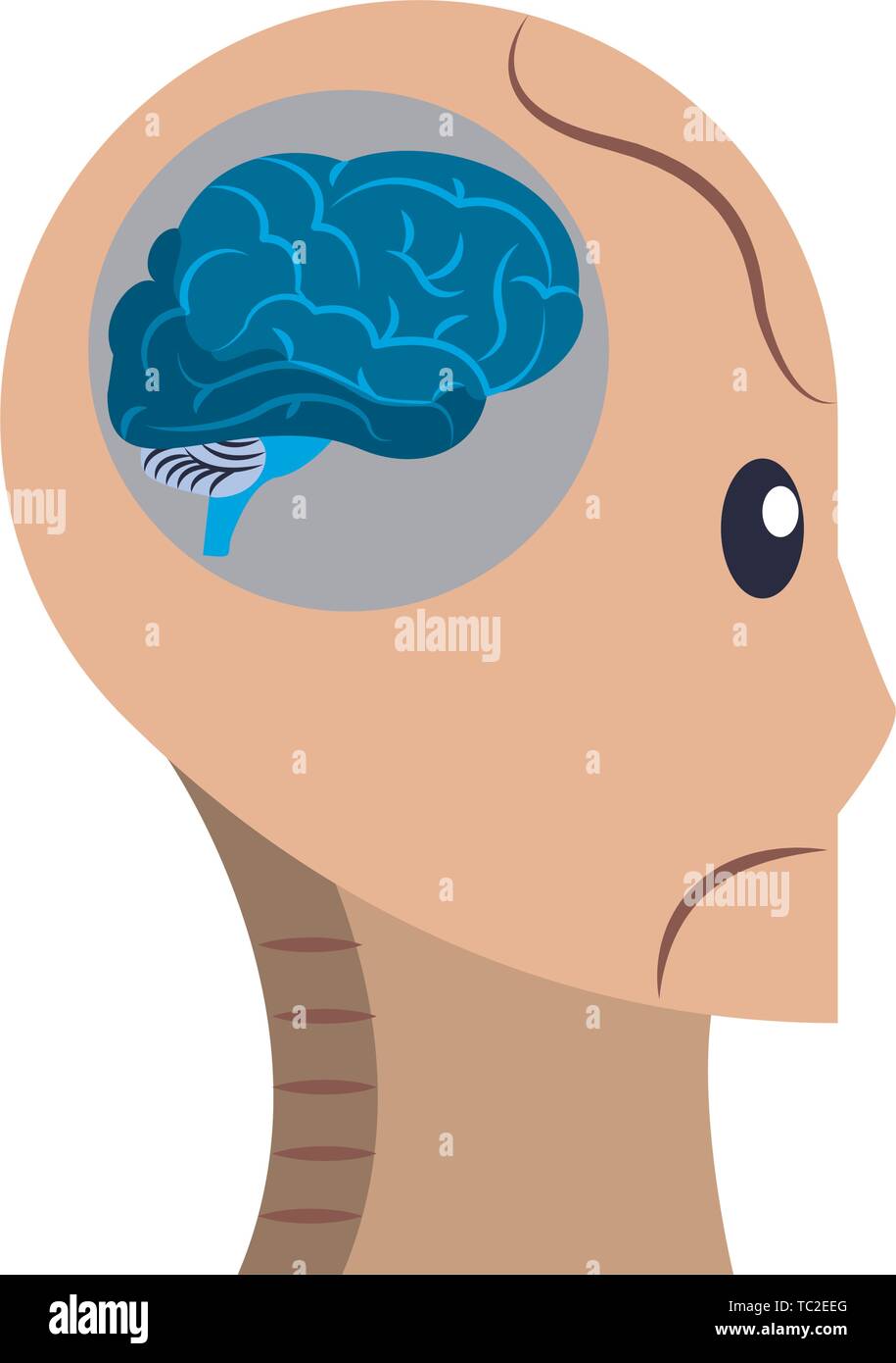 brain top view icon cartoon Stock Vector Image & Art - Alamy