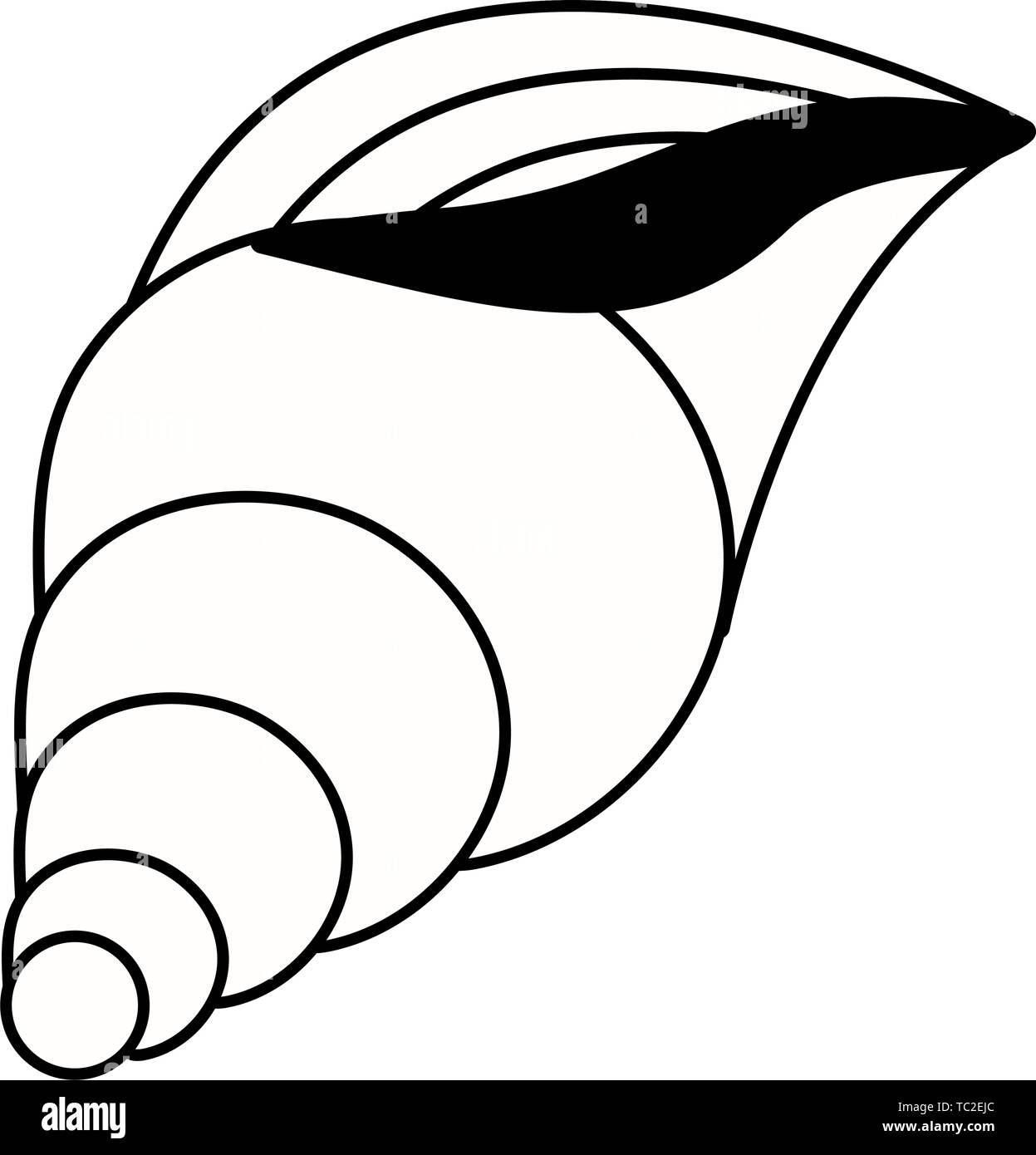 Seashell design, Nature beach summer marine exotic decoration and ...