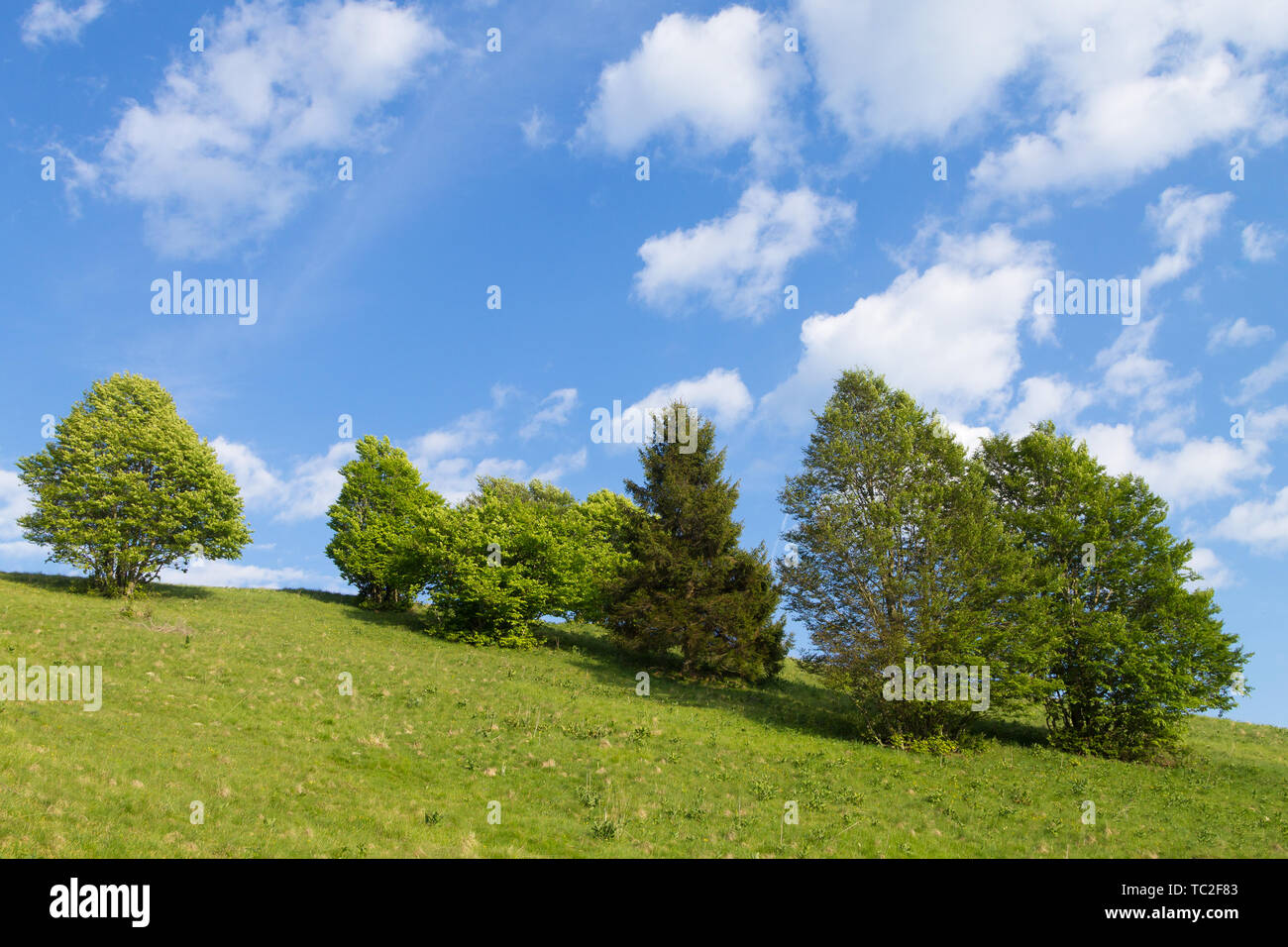 Spring mountain landscape, mount Grappa, Italy. Italian alps Stock ...