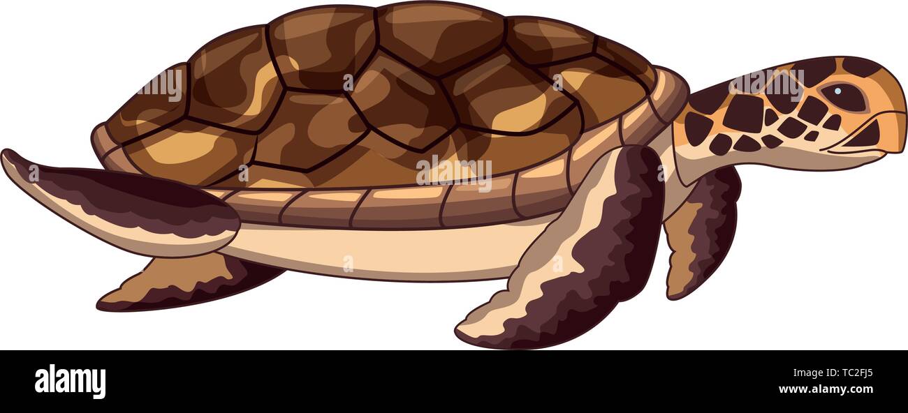 brown sea turtle icon cartoon Stock Vector Image & Art - Alamy