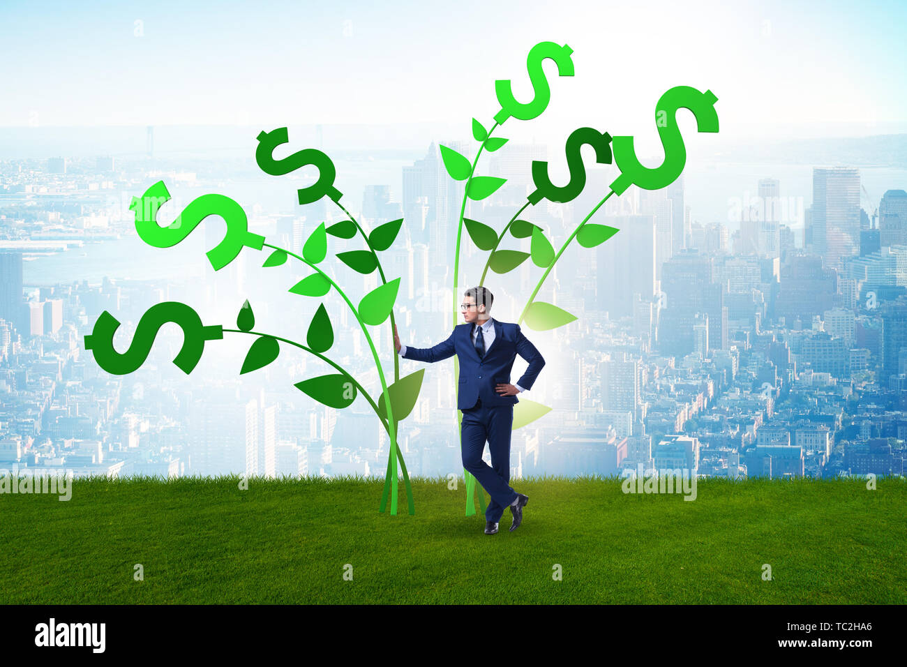Money tree concept with businessman in growing profits Stock Photo - Alamy