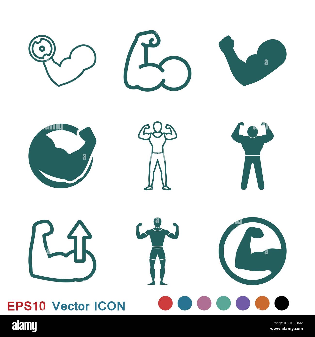 Strength Icon Vector