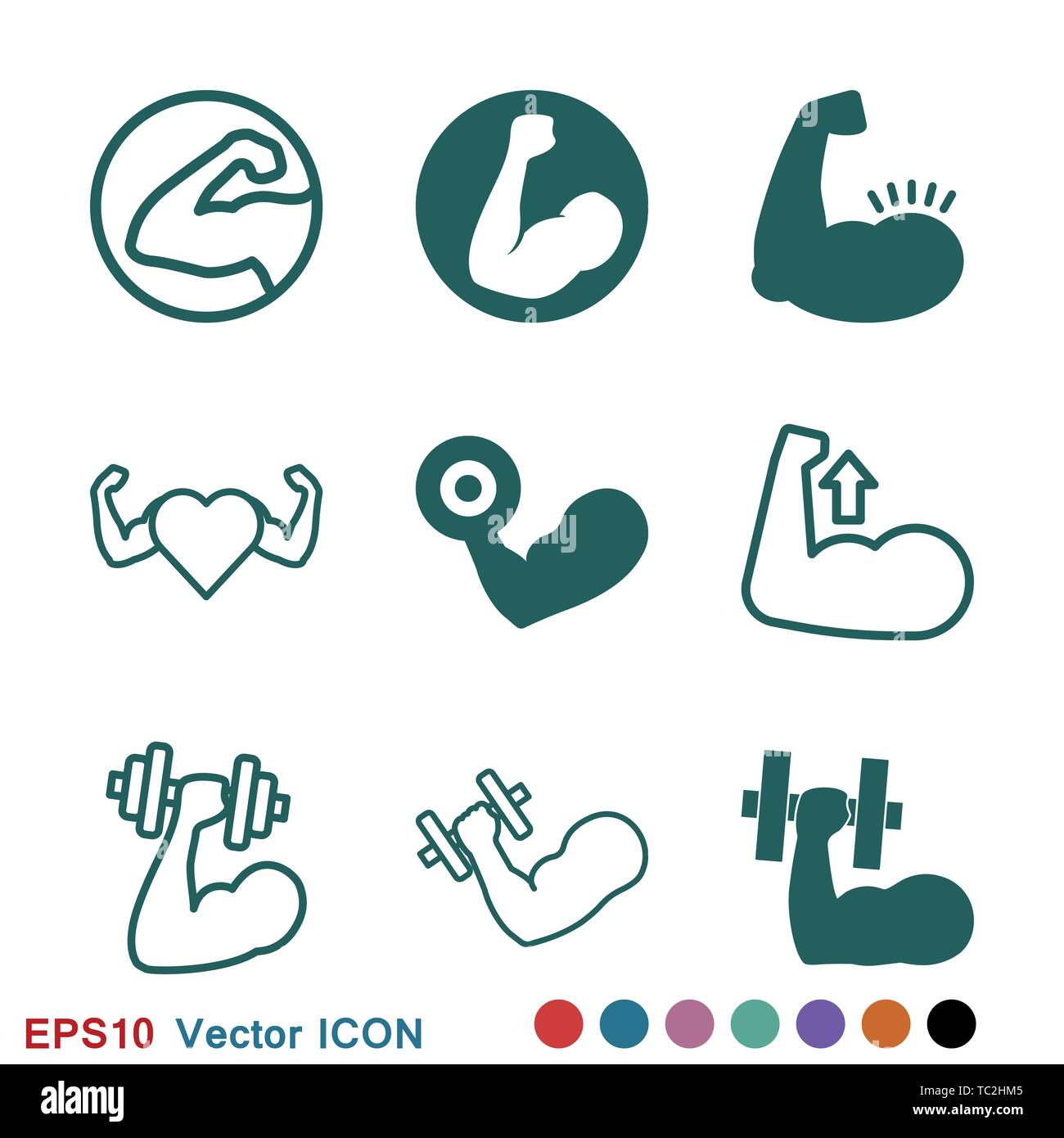 Muscle icon logo, vector sign symbol for design Stock Vector Image ...