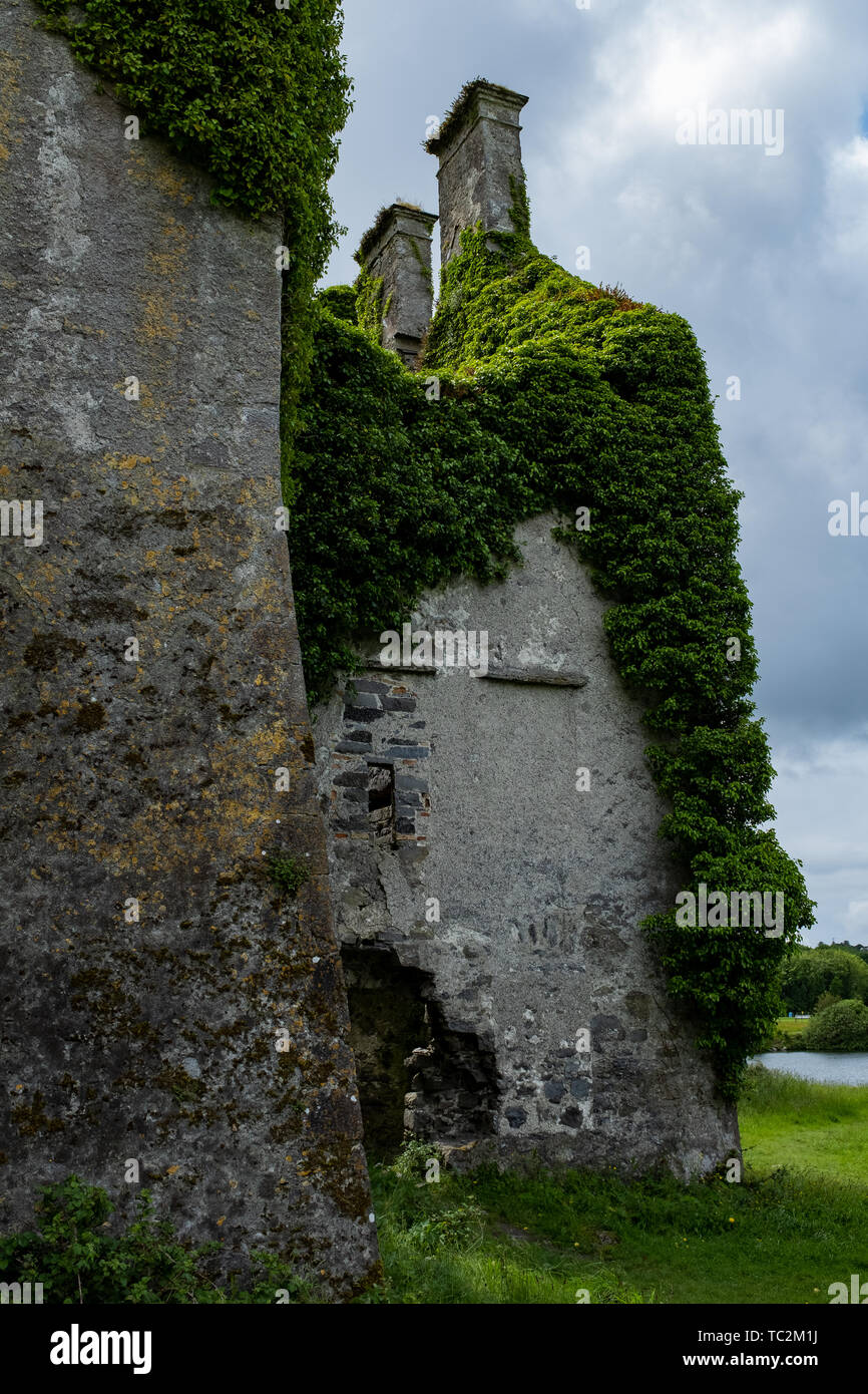 A view of the approach to the spectacular and magical ivy clad castle ...