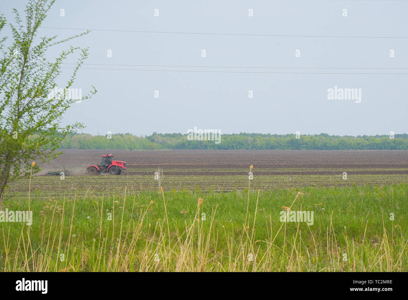 Tractor plows or harrows the ground on the field Stock Photo - Alamy