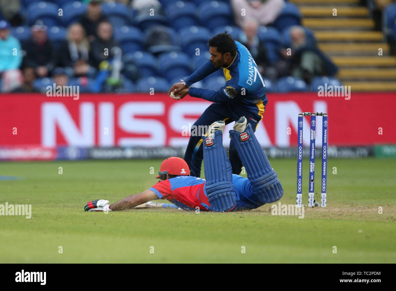 Cricket de cardiff hi-res stock photography and images - Alamy