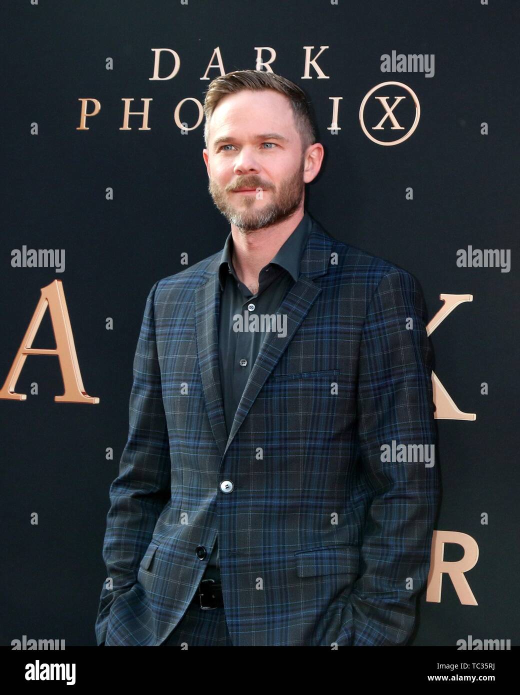 Los Angeles, CA, USA. 4th June, 2019. Shawn Ashmore at arrivals for X ...