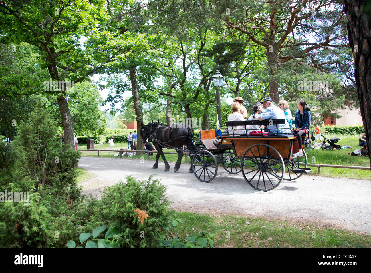 STOCKHOLM 20170623 Midsommar på Skansen, Stockholm, Sverige ...