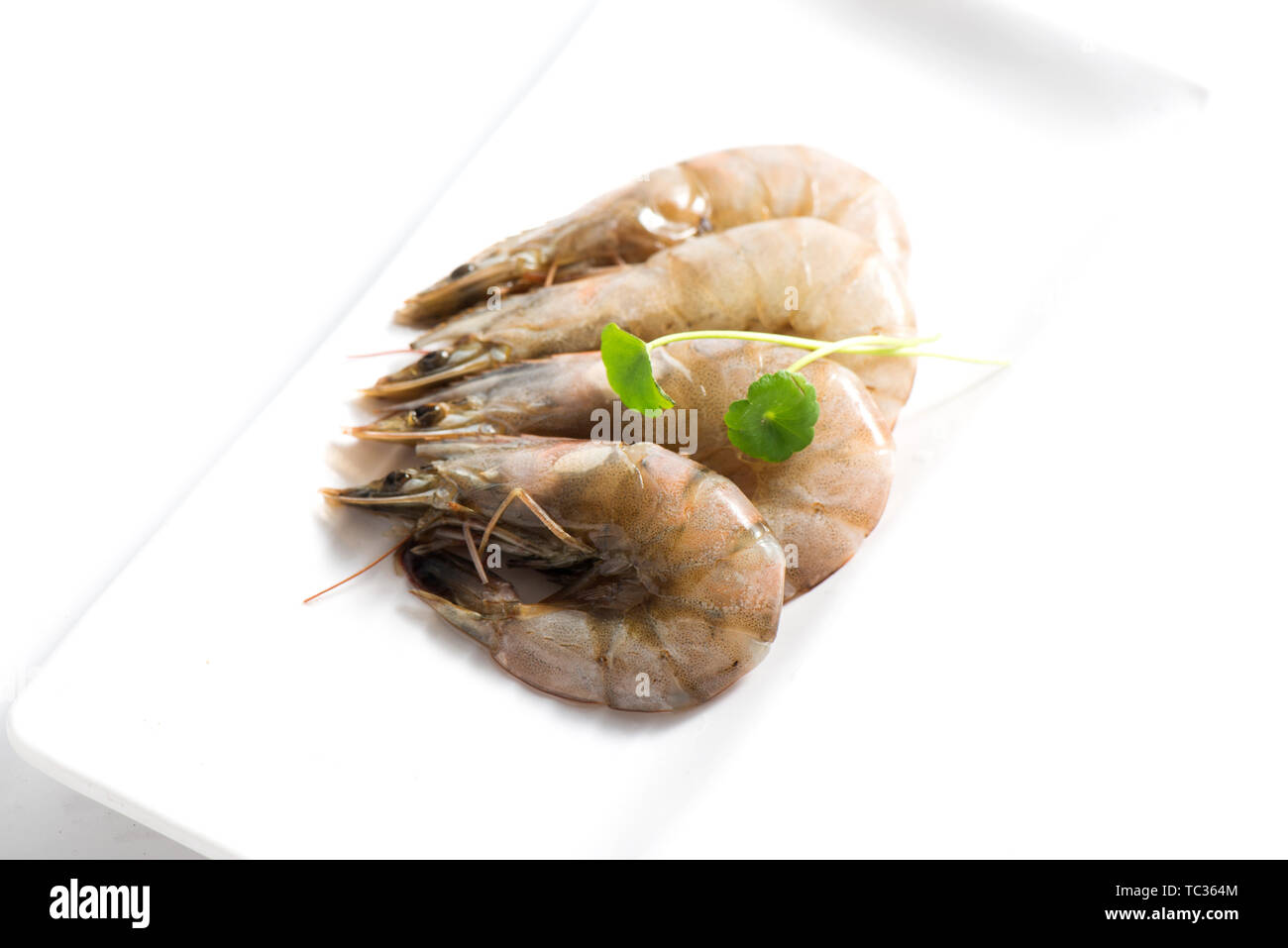 Arctic shrimp hi-res stock photography and images - Alamy