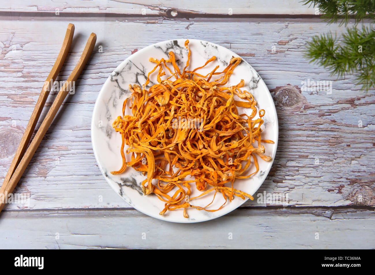 Cordyceps flower hi-res stock photography and images - Alamy