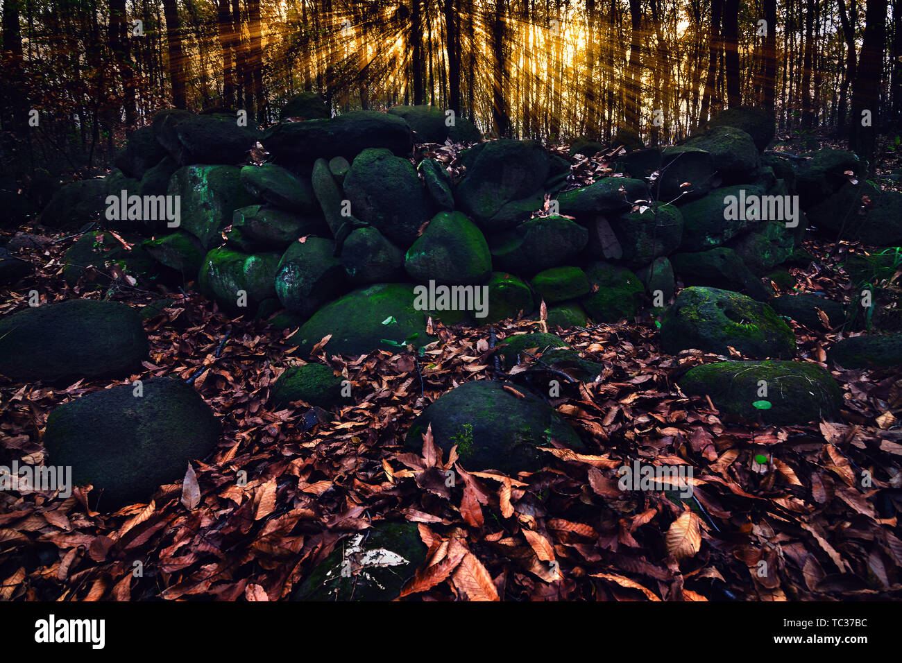 Jungle volcanic rocks hi-res stock photography and images - Alamy