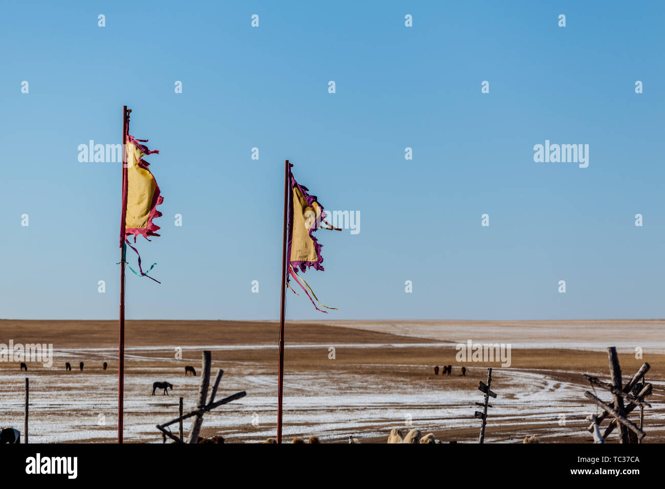 Hailar prairie tribe Stock Photo - Alamy