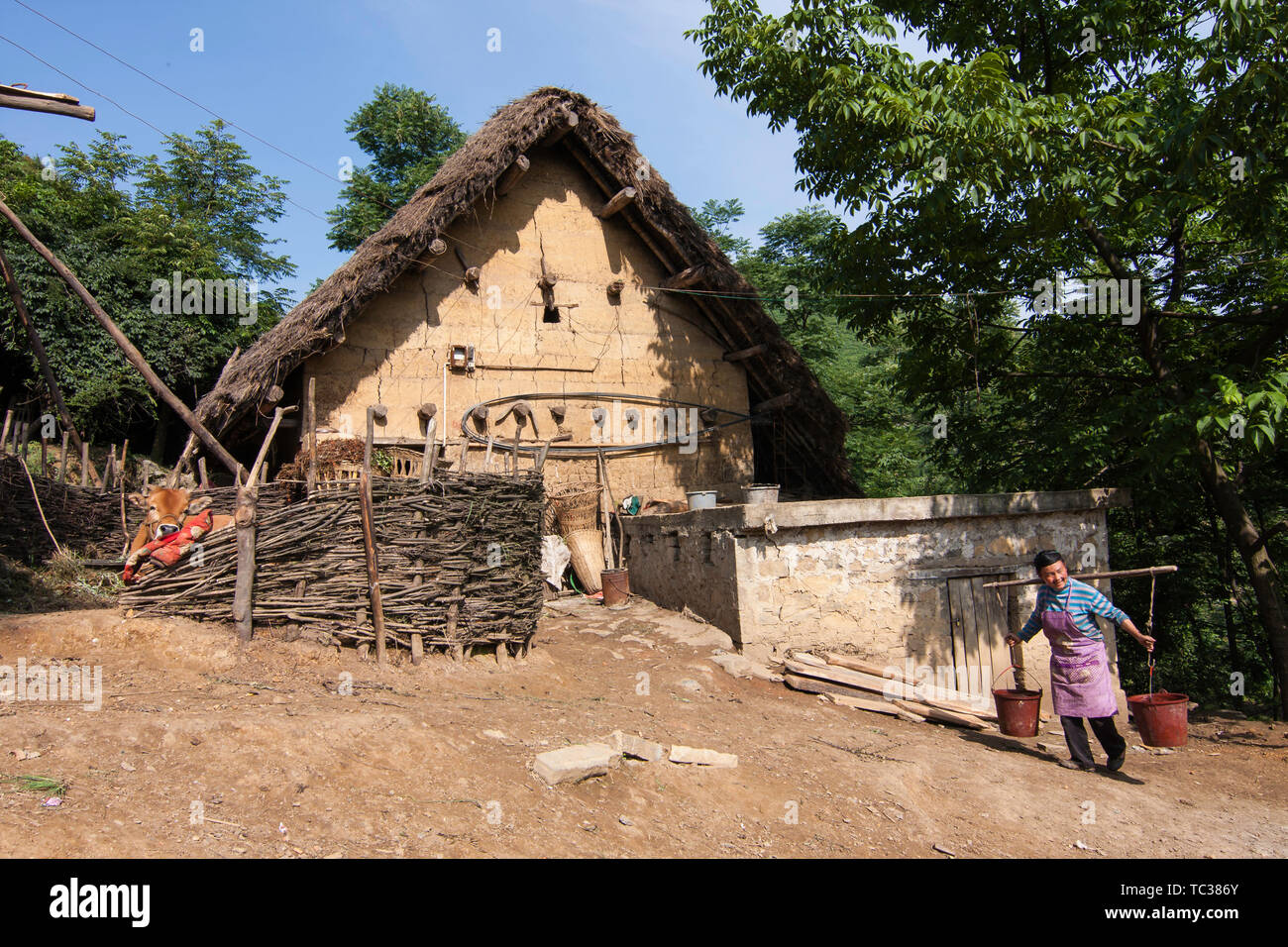 Wei hui hi-res stock photography and images - Alamy