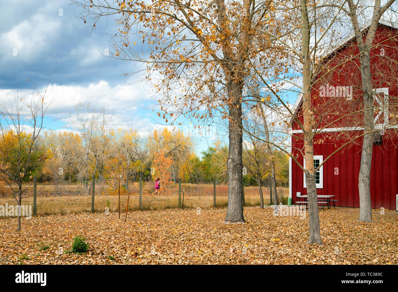 Woman red barn hi-res stock photography and images - Alamy