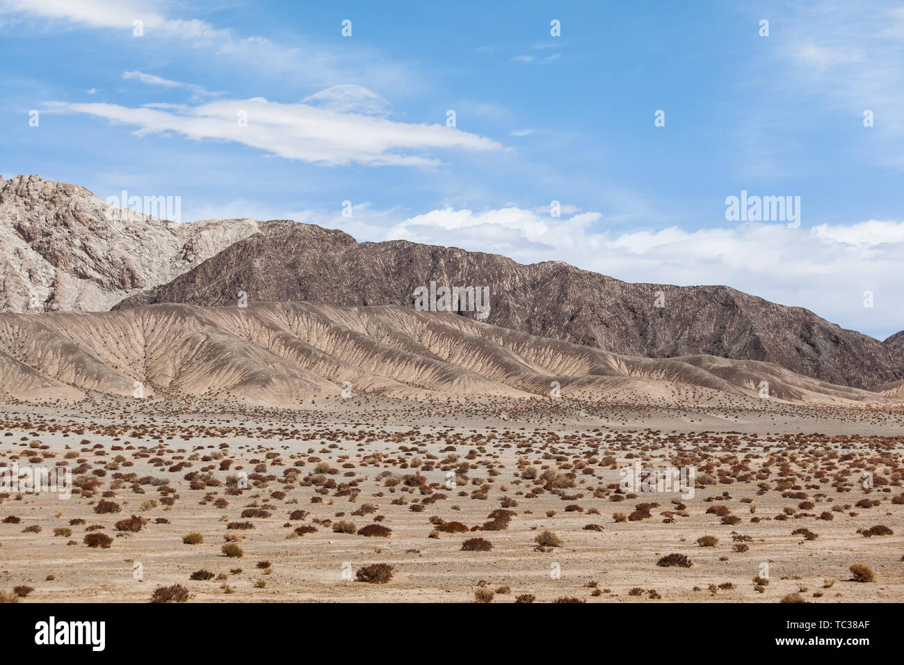 Natural Scenery of Qaidam Basin Stock Photo - Alamy
