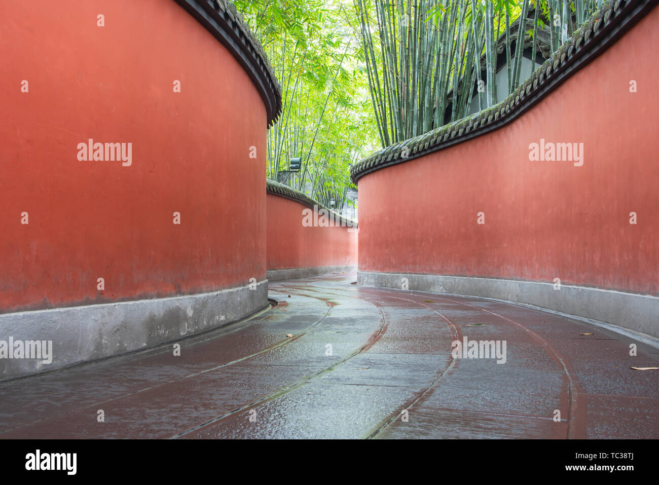 Red Wall and Bamboo Forest in Wuhou Temple Museum in Chengdu Stock ...