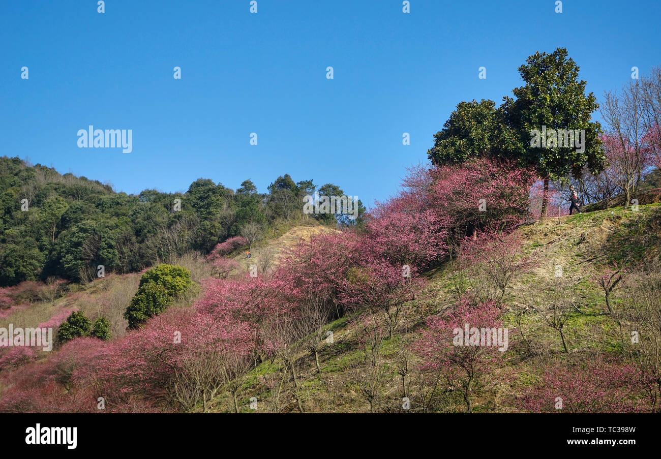 Meishan village hi-res stock photography and images - Alamy