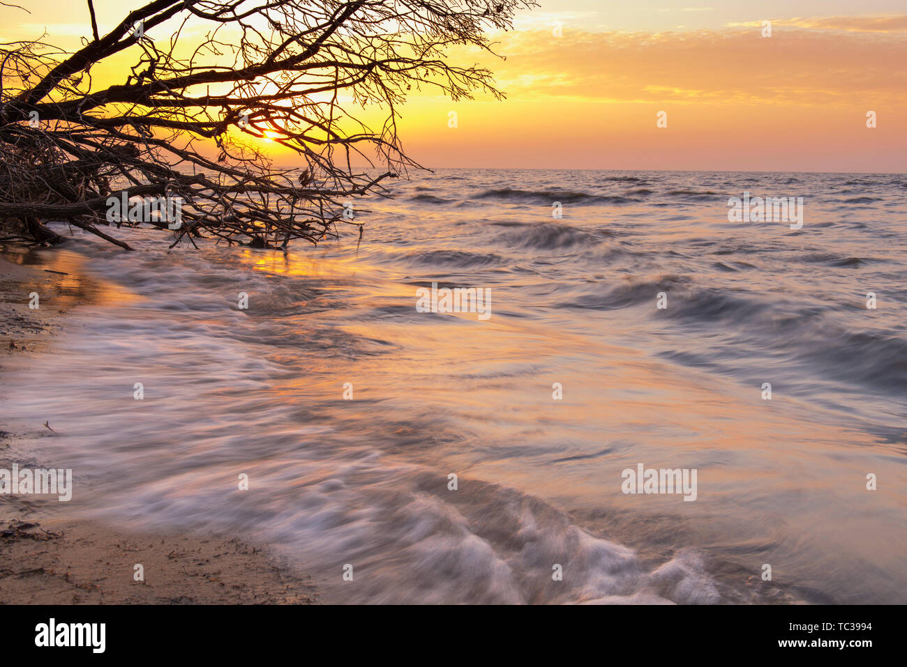 Early winter in Xingkai Lake. Ice period from late November to early ...