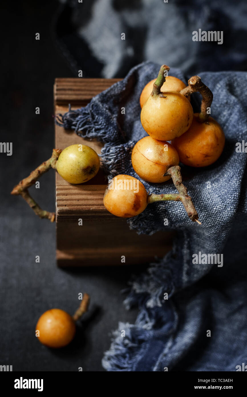 Vintage plant diagram hi-res stock photography and images - Alamy