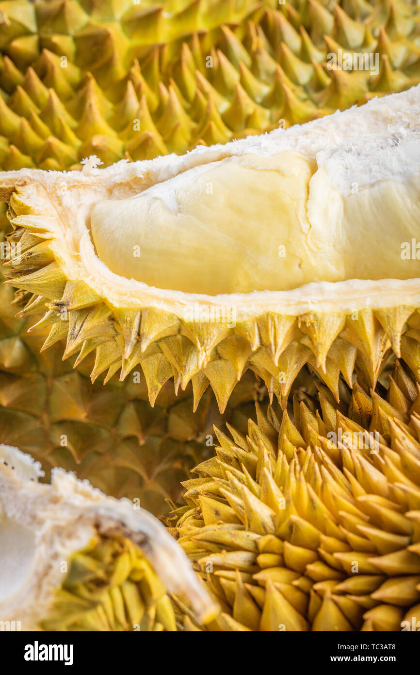Durian meat hi-res stock photography and images - Alamy