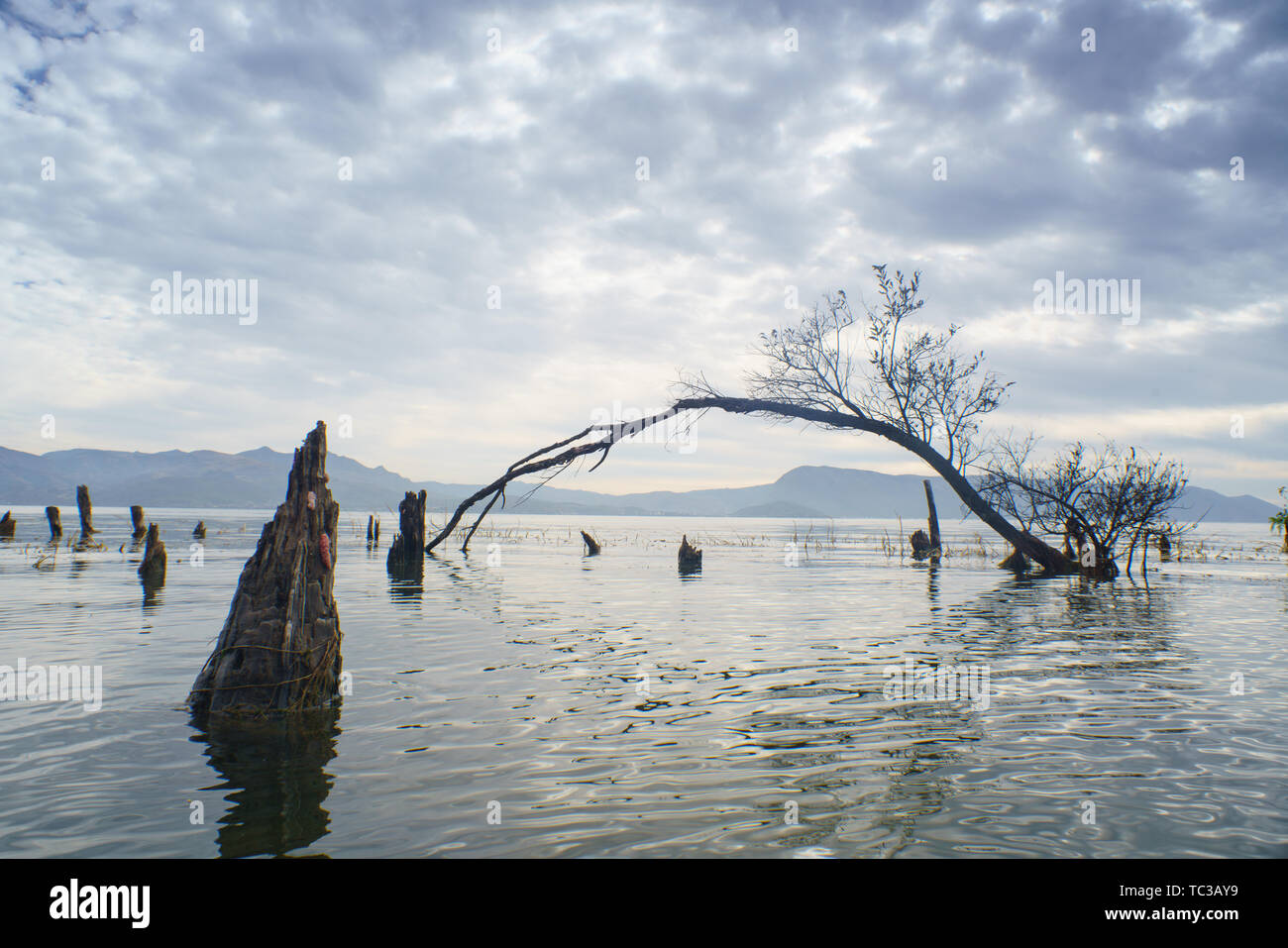Erhai water scenery hi-res stock photography and images - Alamy