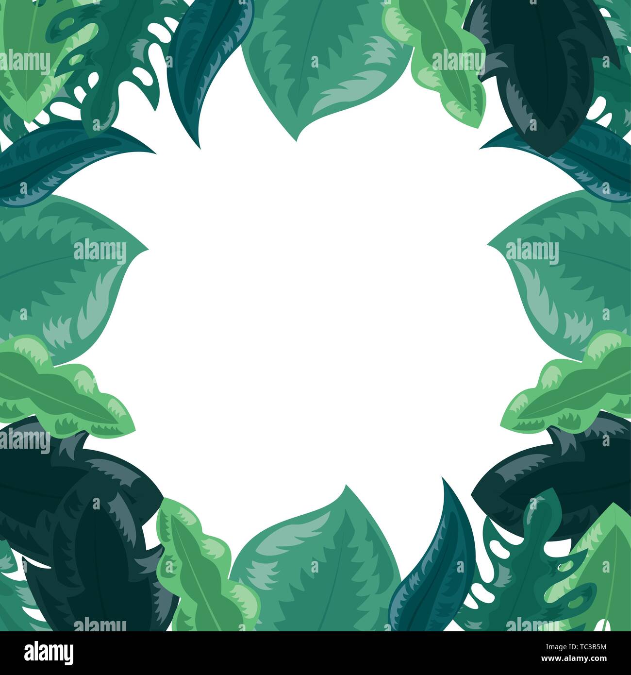 foliage nature border leaves white background Stock Vector Image & Art ...