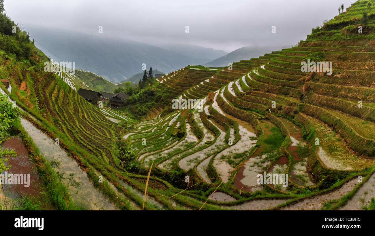 Tourism no one has agricultural vineyards hi-res stock photography and ...