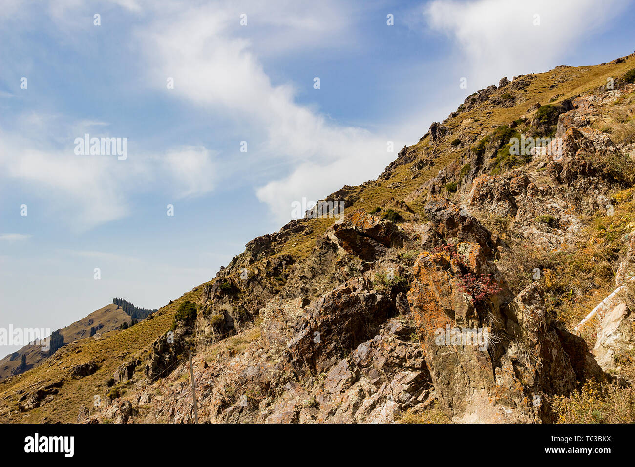 A grotesque rock Stock Photo - Alamy