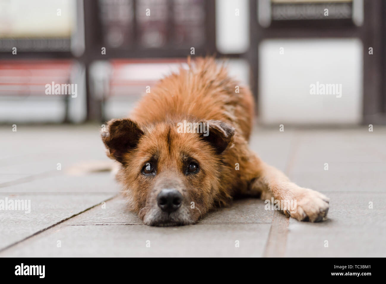 Desiring hi-res stock photography and images - Alamy