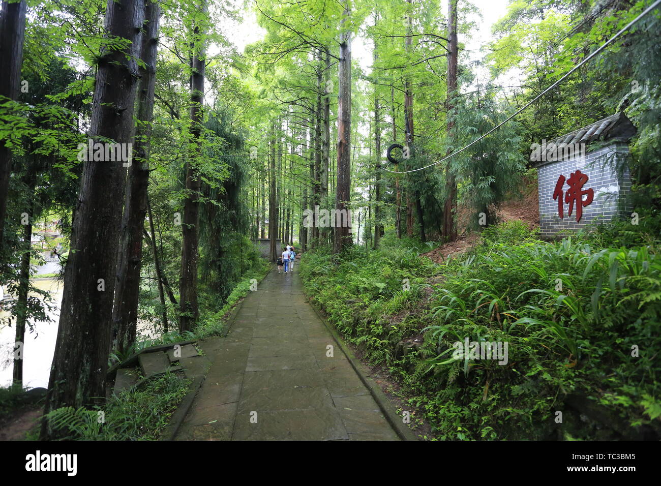 Outdoor hiking tourist scenery Stock Photo - Alamy