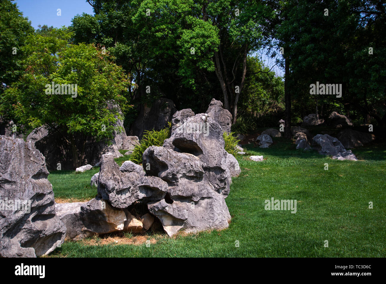 Stone Forest Scenic Area known as the World Geopark in Kunming City ...