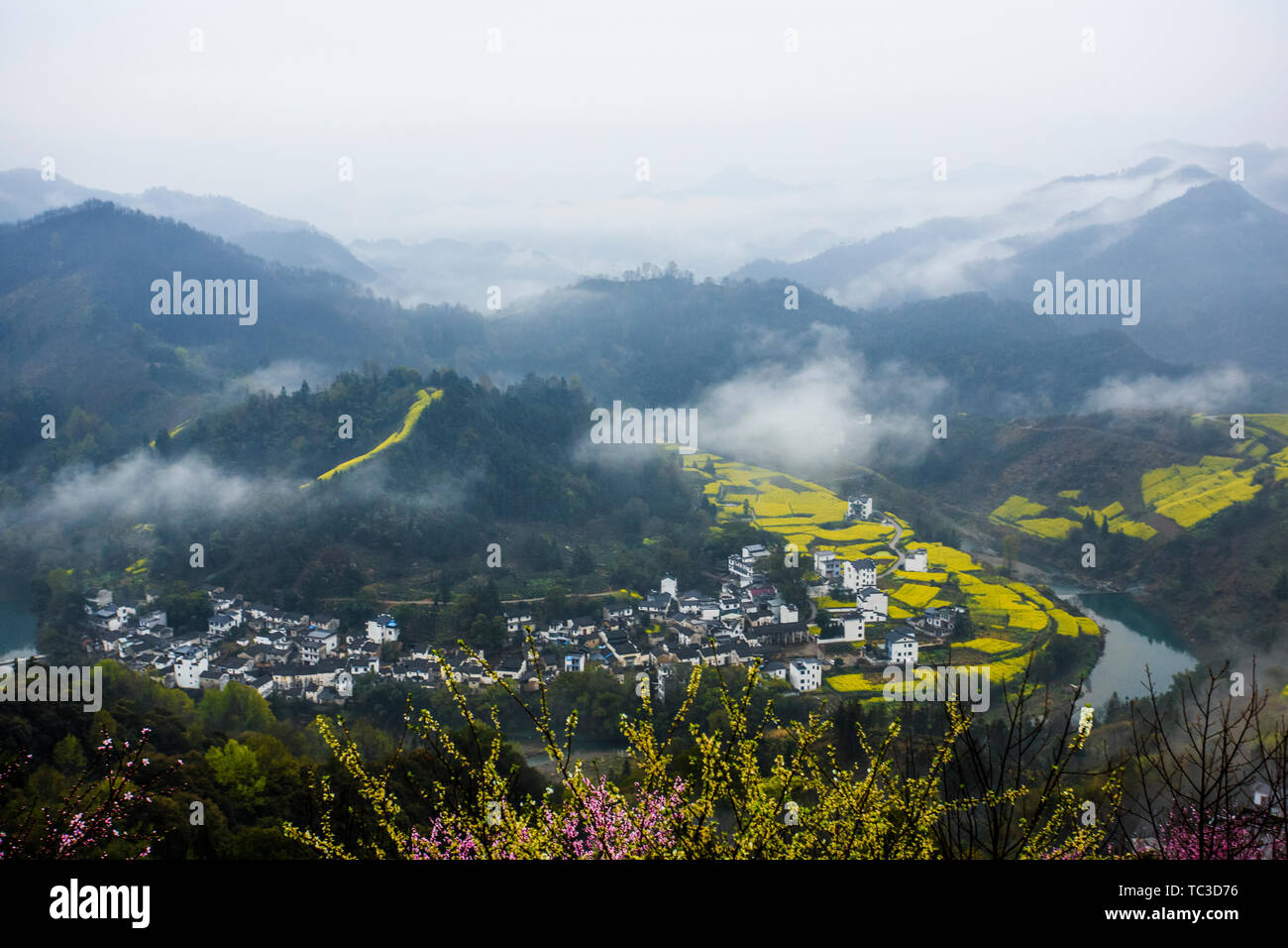 Shitan spring color Stock Photo - Alamy