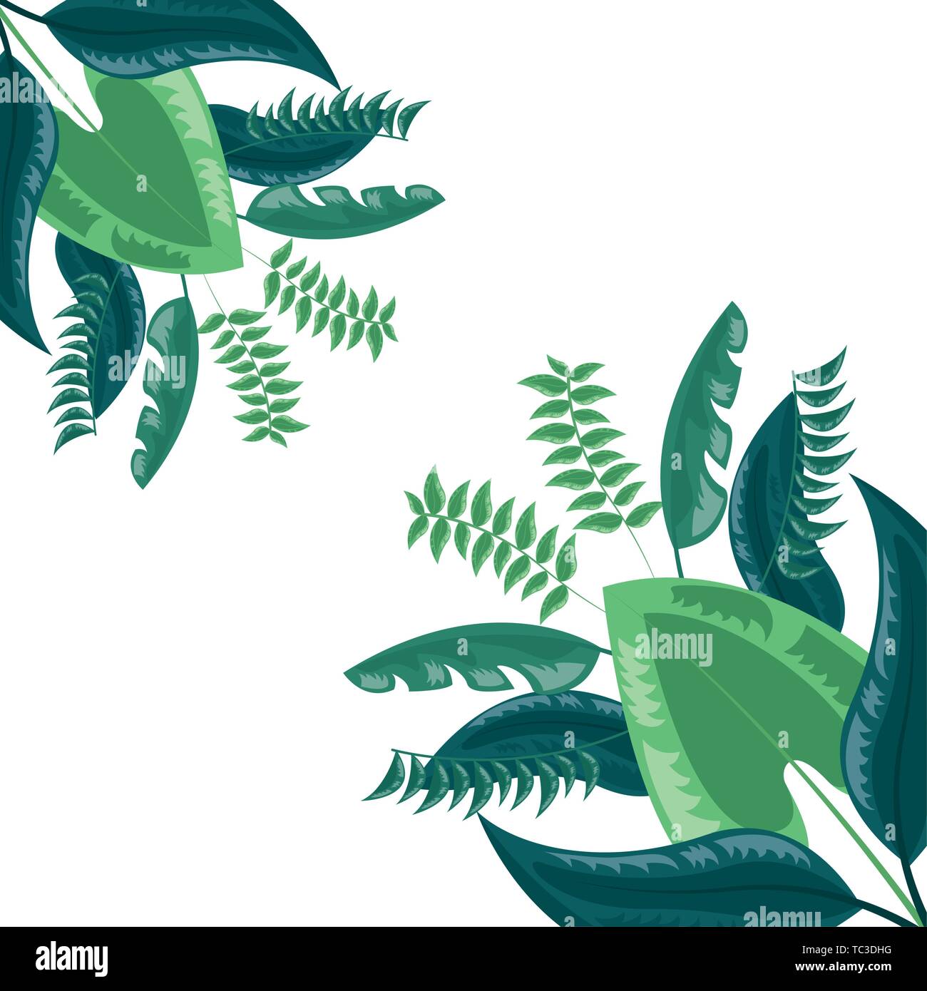 foliage nature corner leaves white background Stock Vector Image & Art ...