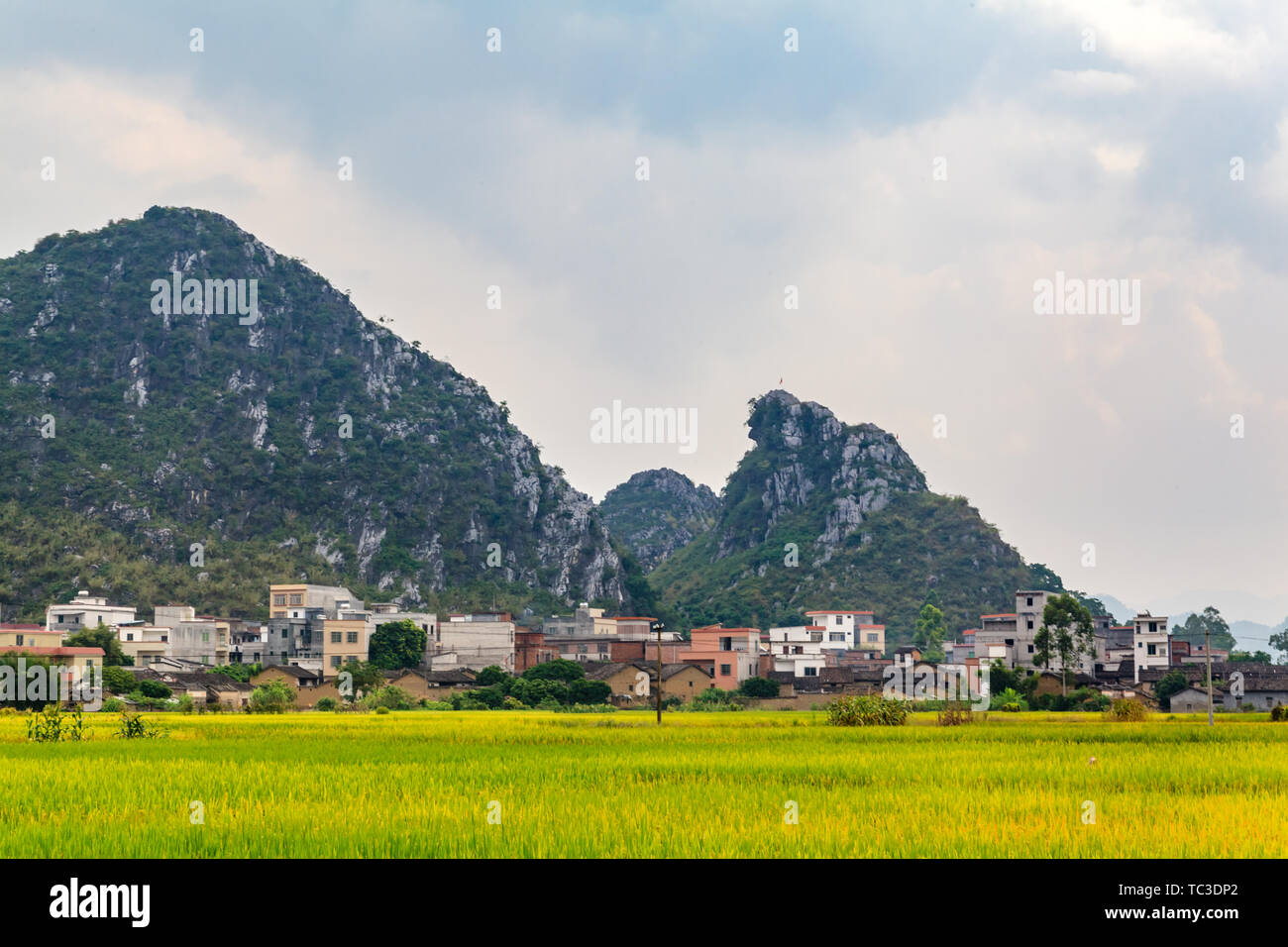 Lingnan mountains hi-res stock photography and images - Alamy