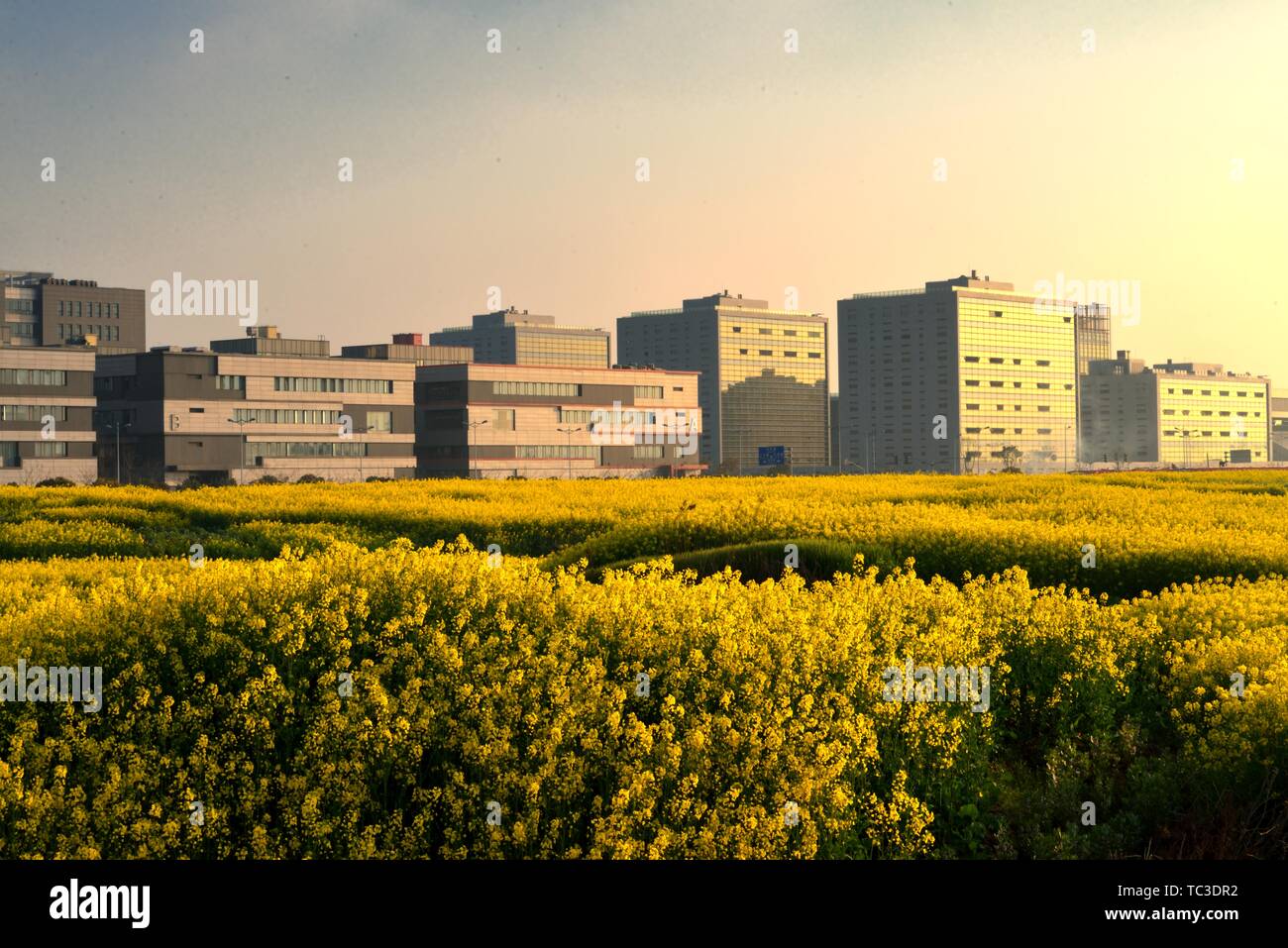 Economic zones hi-res stock photography and images - Alamy