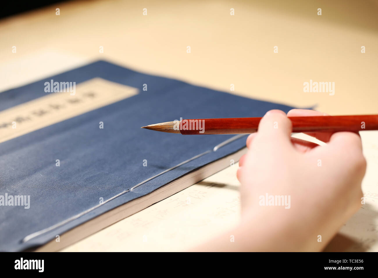 Pure wolf, different writing experience Stock Photo - Alamy