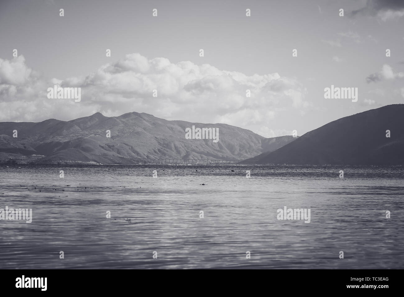 The back of the bird seaweed girl in Cangshan, Erhai Stock Photo - Alamy